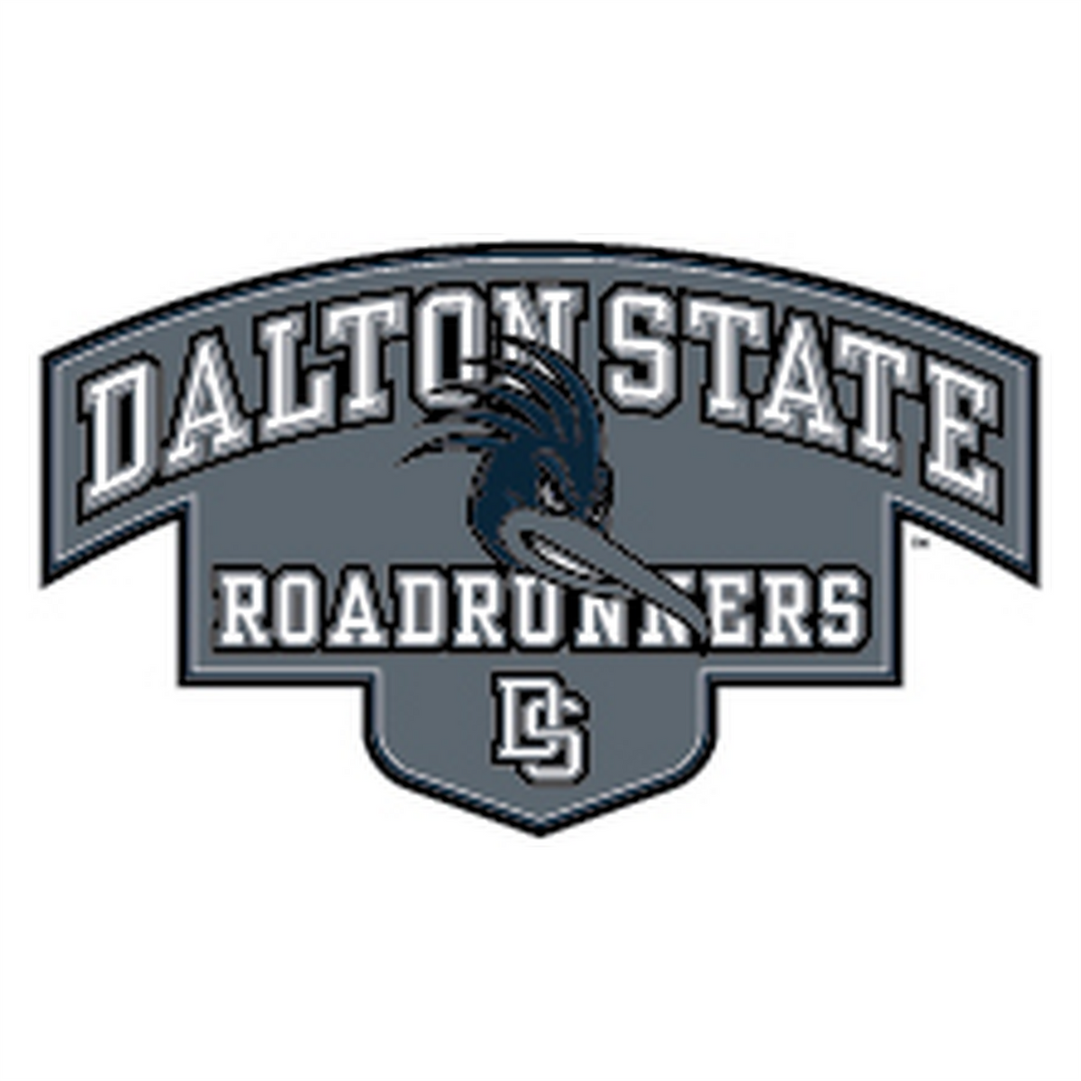 Dalton State College – A to Z Flags, LLC