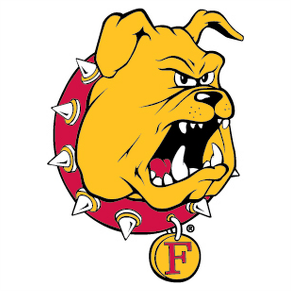 Ferris State University – A to Z Flags, LLC