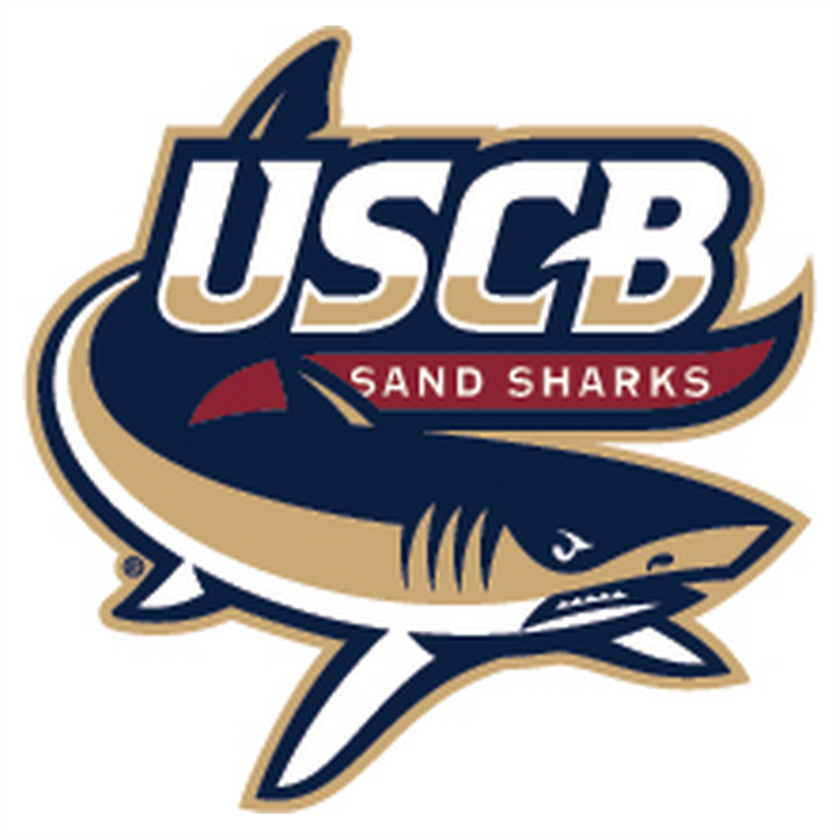 University of South Carolina Beaufort – A to Z Flags, LLC