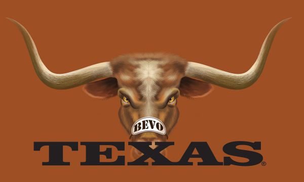 3x5 Texas Longhorns Flag with Bevo Mascot Eyes Logo – A to Z Flags, LLC