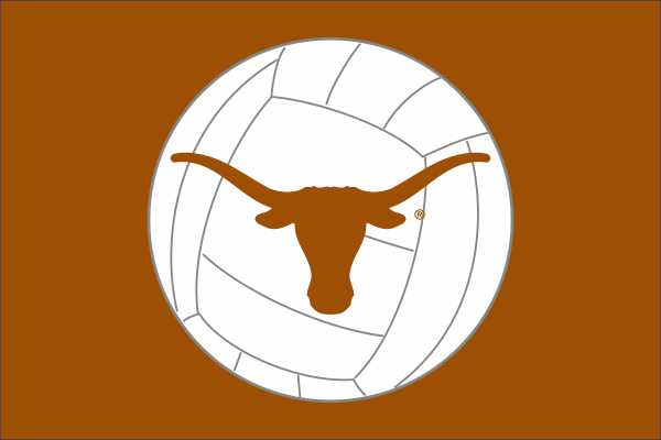 3x5 Texas Longhorns Volleyball Flag – A to Z Flags, LLC