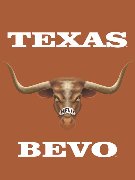 University of Texas - Bevo House Flag – A to Z Flags, LLC