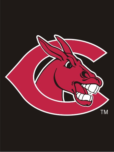 University of Central Missouri - Mules & Jennies Black House Flag – A ...