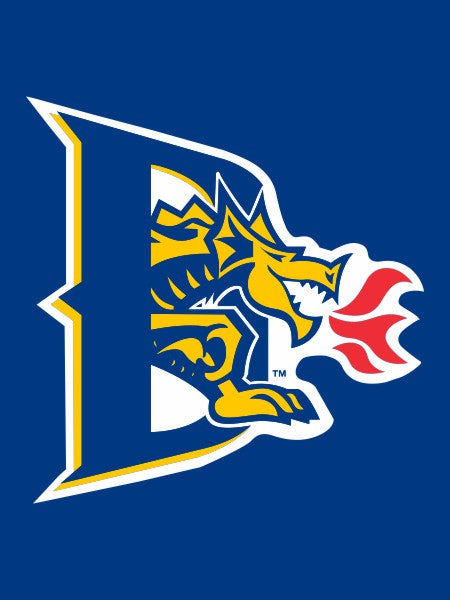 Drexel University - Dragons House Flag – A to Z Flags, LLC